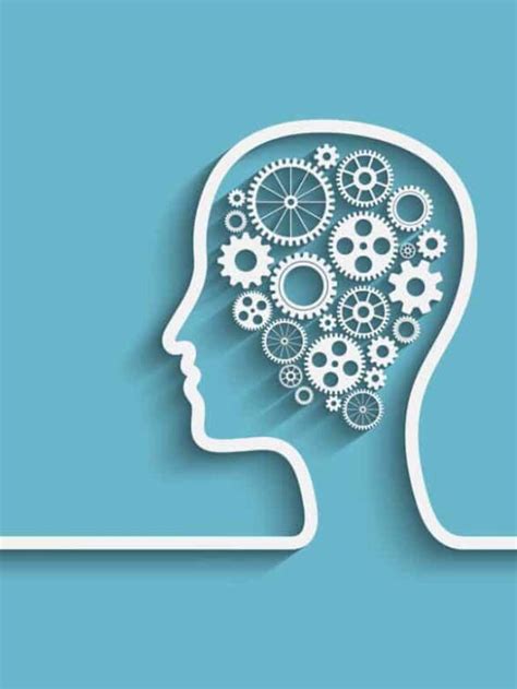 O Que Significa Pnl Prime Cursos