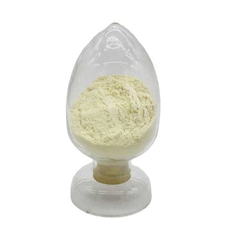 Lactobacillus Rhamnosus Probiotic Solid Beverage 10 Billiong Freeze