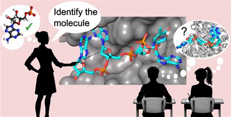 From Spaghetti To Structure Teaching Students The Art Of Molecular
