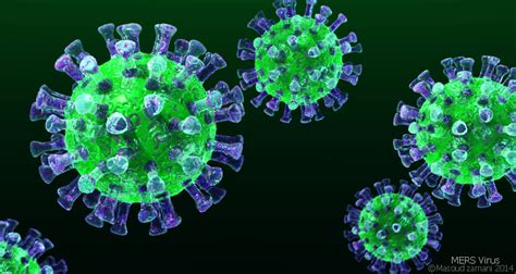 What We Do And Dont Know About The Mers Virus Blog Isglobal
