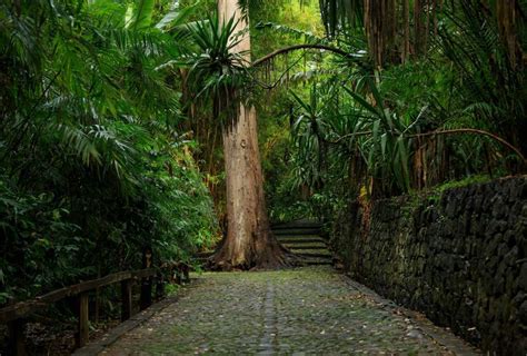 Parque Nacional Barranca Del Cupatitzio En Uruapan