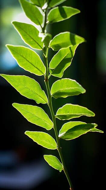 Premium Ai Image A Green Plant With A Small Stem In The Middle