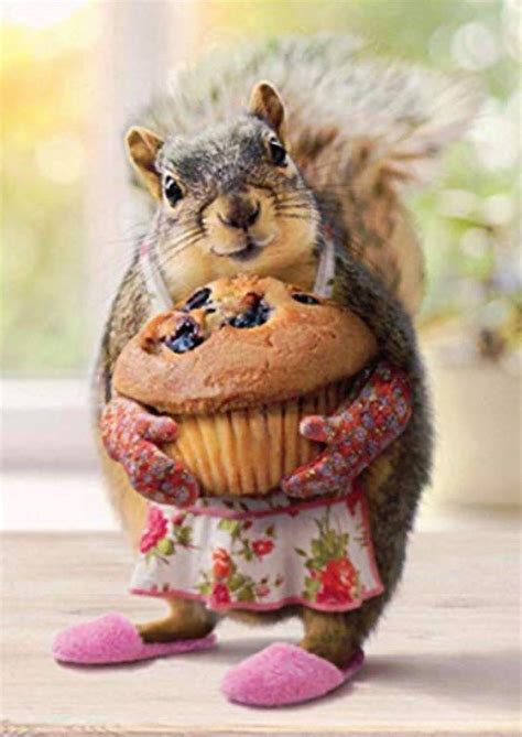 Squirrel Acres Squirrel Acres Added A New Photo