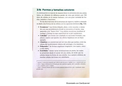 Función Celular Daniel Ayvar Udocz