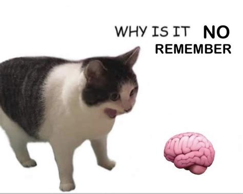 Why Is It No Remember Why Is It Empty Know Your Meme