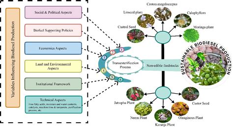 Biodiesel Processor Plans
