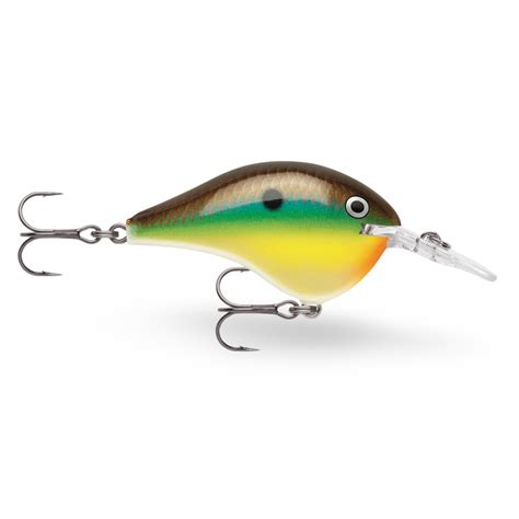 Dt Dives To Series Rapalas Seattle Fishing Company