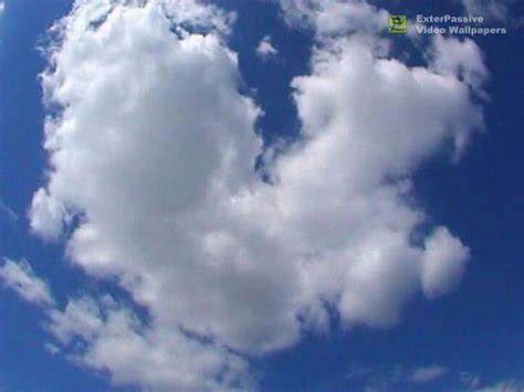 Externally Passive Video Wallpaper Download