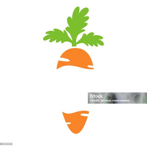 Carotte Vector Orange Carotte Conception Easter Bunny Food Isolé Sur
