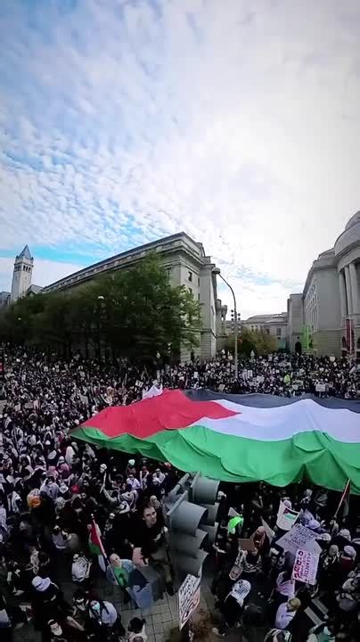 Mahmoud Mohamed Abdelfattah On Linkedin Gaza Palestine