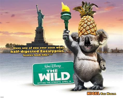 The Wild Pictures And Images