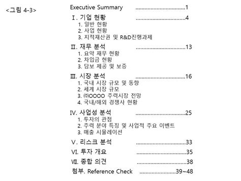 투자검토보고서 목차 실제 작성보고서 발췌 스타트업 포스터 디자인 투자