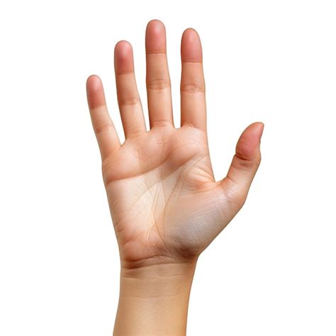 Premium Photo Hand On White Background