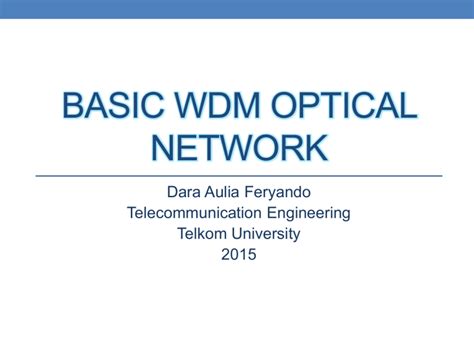 basic wdm optical network
