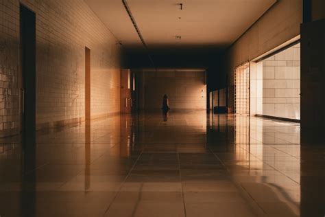 Lck Cl 쉐도우코퍼레이션 Lck Cl 순위24년1월27일기준 와우