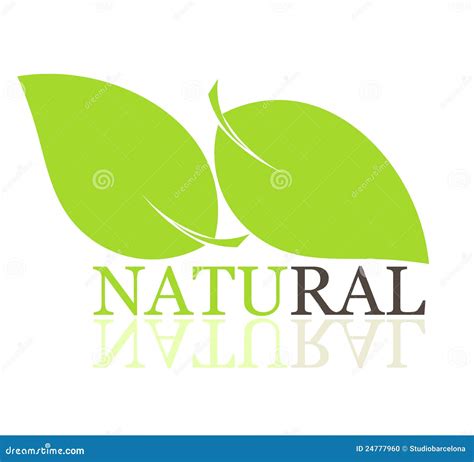 Leaf Symbol Stock Vector Illustration Of Design Plant 24777960
