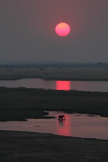 Rob Pollock Botswana Pan Moonrise 2017 Artsy