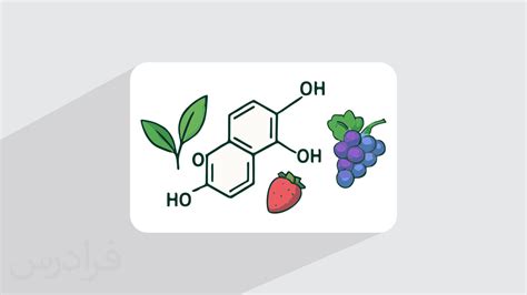 پلی فنول چیست؟ بررسی ویژگی و کاربردها فیلم آموزش رایگان فرادرس