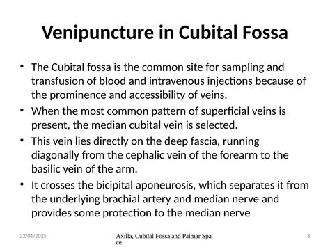 Cubital Fossa Presentation Slide Good Onepptx