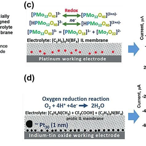 A Schematic Drawing Of The In Situ Solid State Electrochemical Cell