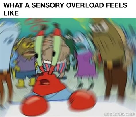 Sensory Overload Funny Car Memes Funny Memes Memes
