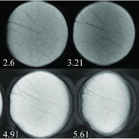 Ct Scaning Along Axis Direction Of Soft Recovered Samples Under Shock