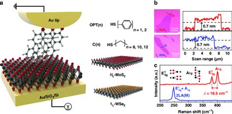 Molecular Heterojunction Structure A Schematic Of Molecular