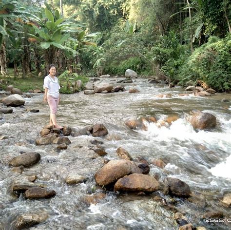 Patcharapan Chaiyarak