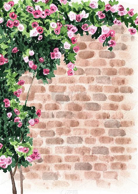 砖墙上爬满了蔷薇。手绘水彩插图和背景素材 花瓣网