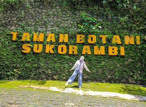 Wisata Taman Botani Jember Berhawa Adem Banget Sajikan Keindahan Menawan Bikin Pengunjung Nggak