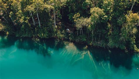 101 Things To Do On The Atherton Tablelands Cairns And Great Barrier Reef