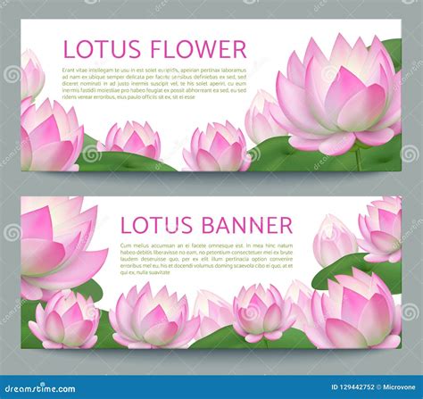 Banderas Rosadas Del Loto Flor Realista Del Agua De La Charca El