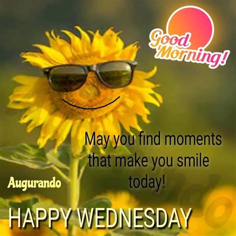 Pin By Terryred On Good Mornings Are Best Shared Happy Morning
