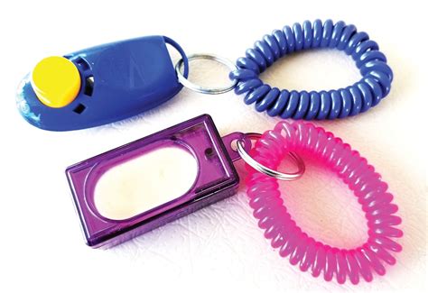 Clicker Training For Dogs 101 Whole Dog Journal