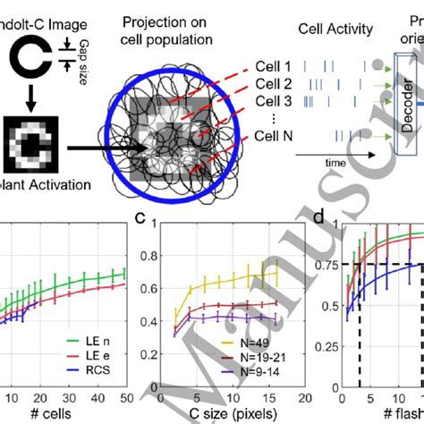 Ensemble Encoding Of The Visual Information A Algorithm For