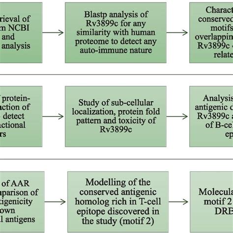 Overview Of Bioinformatics Analysis And Steps Involved In This Study