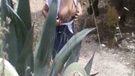 Exela Occasional Stroll Among The Ancient Ruinspart 1 3 Exela