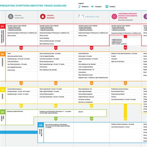 Ob Triage Template