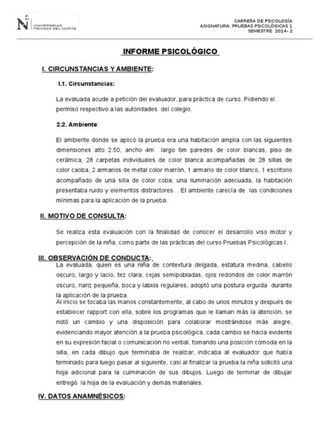 Informe Psicologico 2 Pdf Salud Y Bienestar