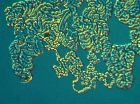 Optical Coating Degradation Problems Anderson Materials Evaluation Inc Anderson Materials