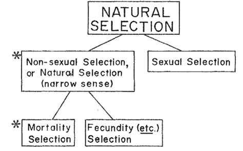 Reproduction Of Endlers Hierarchical Schema Endler 1986