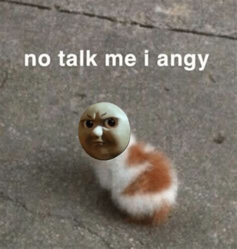 Angy Perpy R Thomasthetankengine