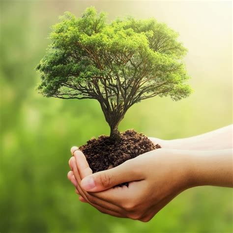 Michel Beaudry Avis De Décès Coopérative Funéraire Du Grand Montréal