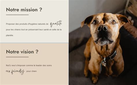 How Do You Put Two 50 Columns One Below The Other R Elementor