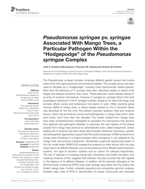 Pdf Pseudomonas Syringae Pv Syringae Associated With Mango Trees A Particular Pathogen