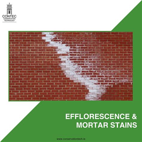 Efflorescence And Mortar Stain Removers