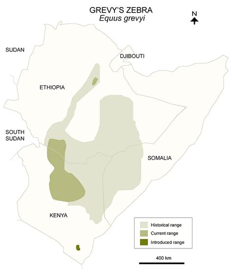 Conservation Status Grevys Zebra Trust