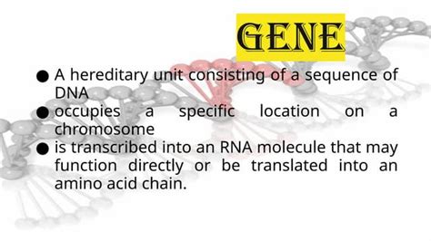 Gene Flow Gene Flow Gene Flow Gene Flowpptx