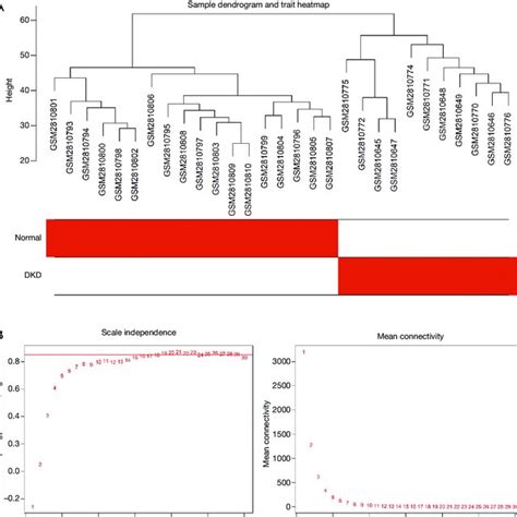 Gene Cluster Analysis A Sample Dendrogram And Trait Heatmap The