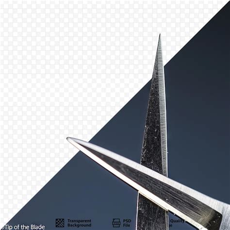 Psd De Burjas 70 Plantillas Psd Gratuitas De Gran Calidad Para Descargar